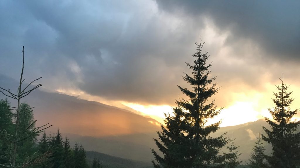 Trasee montane virgine pe Vârful Cârja 🦅 Deasupra norilor